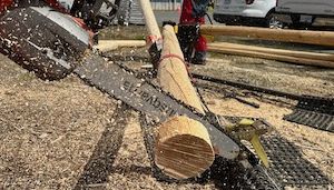 Chainsaw Operations Training