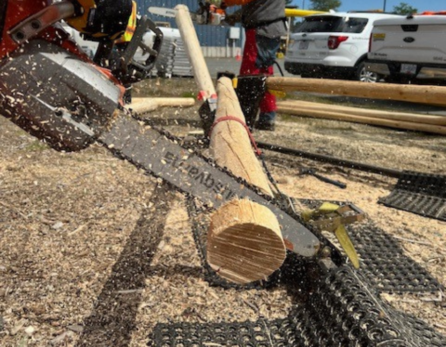Chainsaw Operations Training